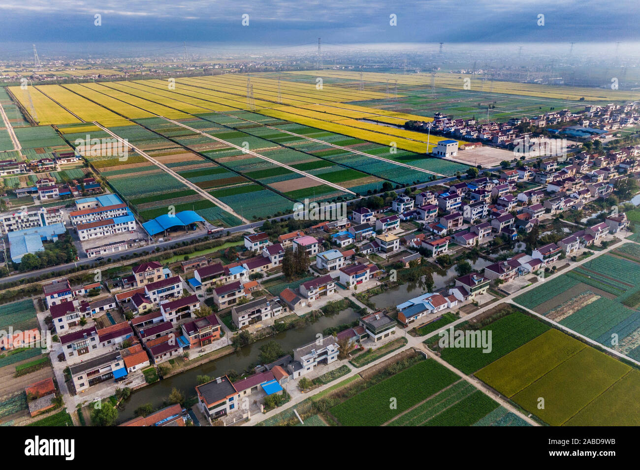Aerial view of the wheat fields of Dagong Farm in Hai'an city, east ...