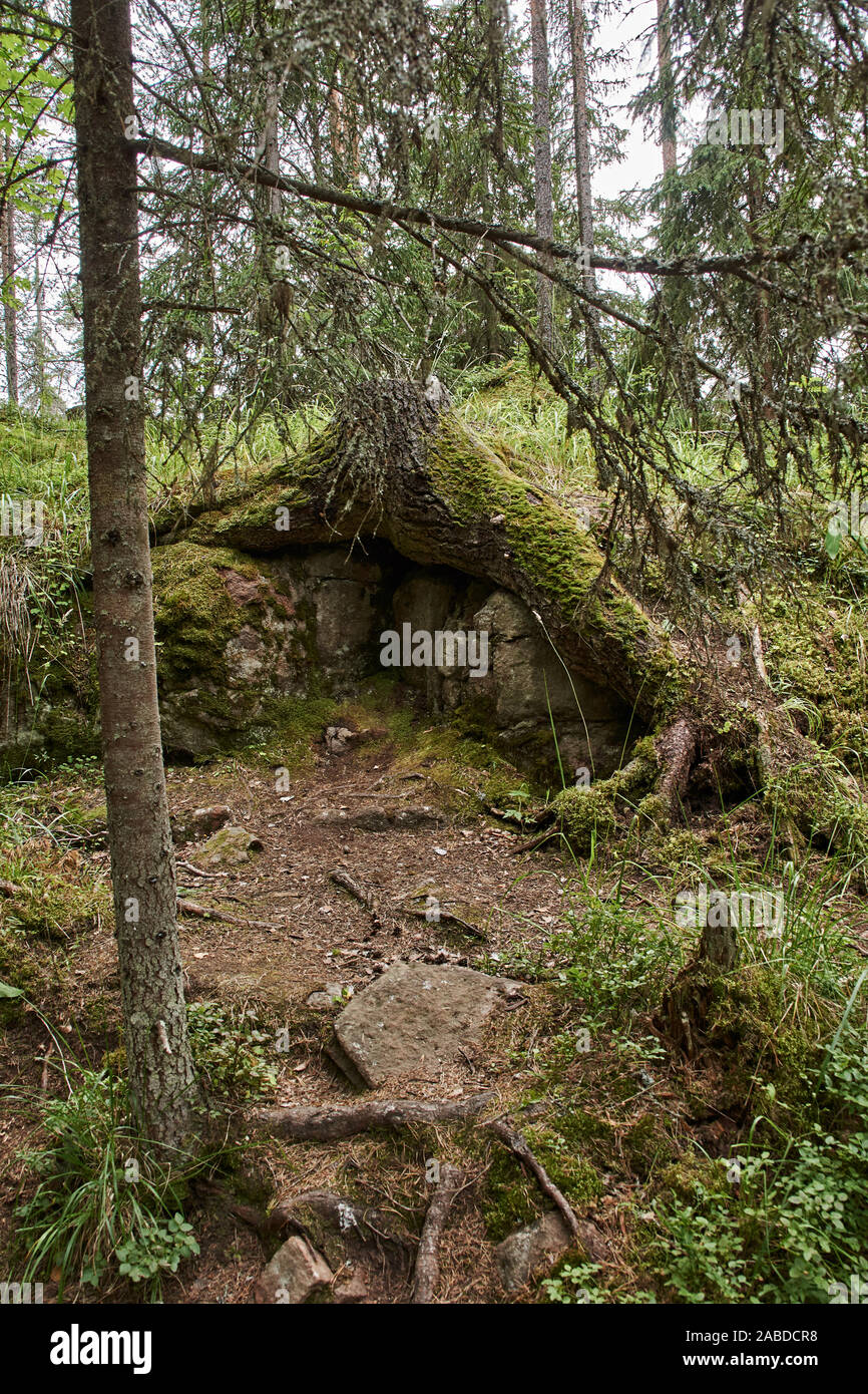 Tree roots rock hi-res stock photography and images - Alamy