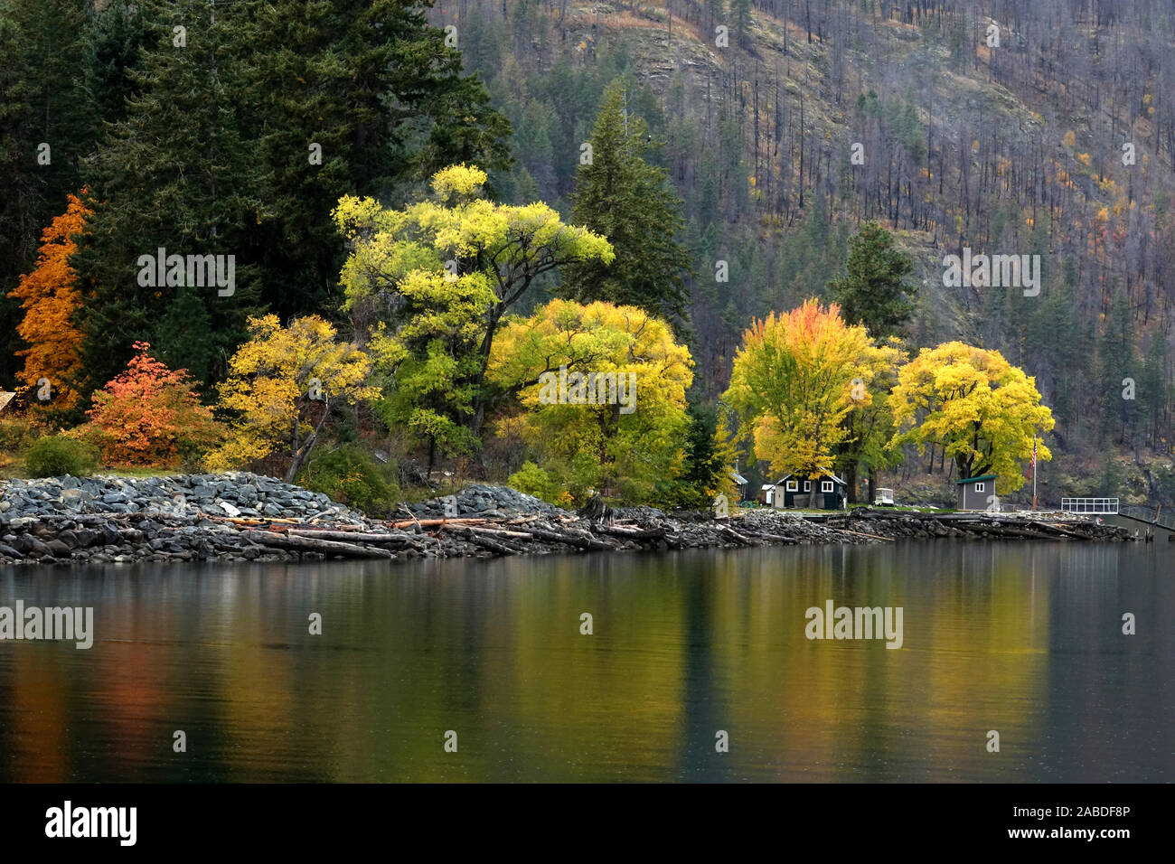 Fall color on lakeshore hi-res stock photography and images - Alamy
