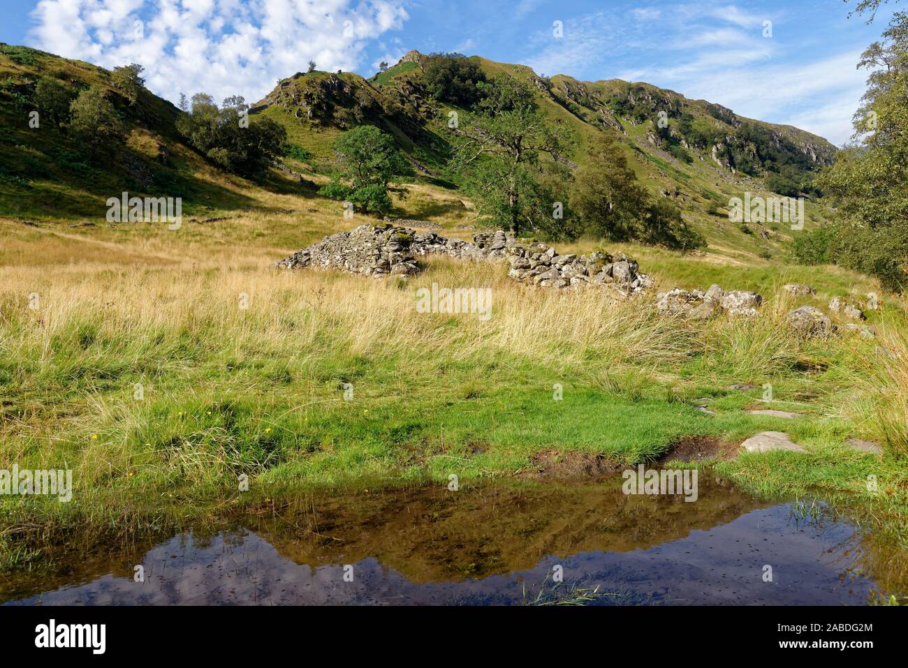 Haweswater trees lake district hi-res stock photography and images - Alamy