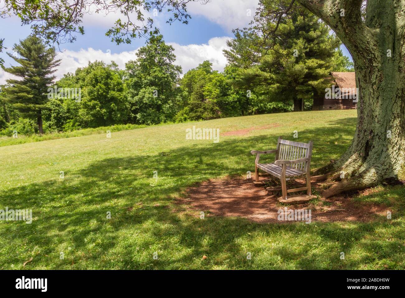 Bench and tree at Shenandoah National Park, Virginia Stock Photo - Alamy