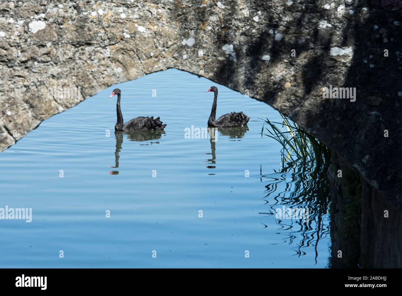 Gothic arch on stone bridge to Gate tower of Leeds Castle frames two of ...