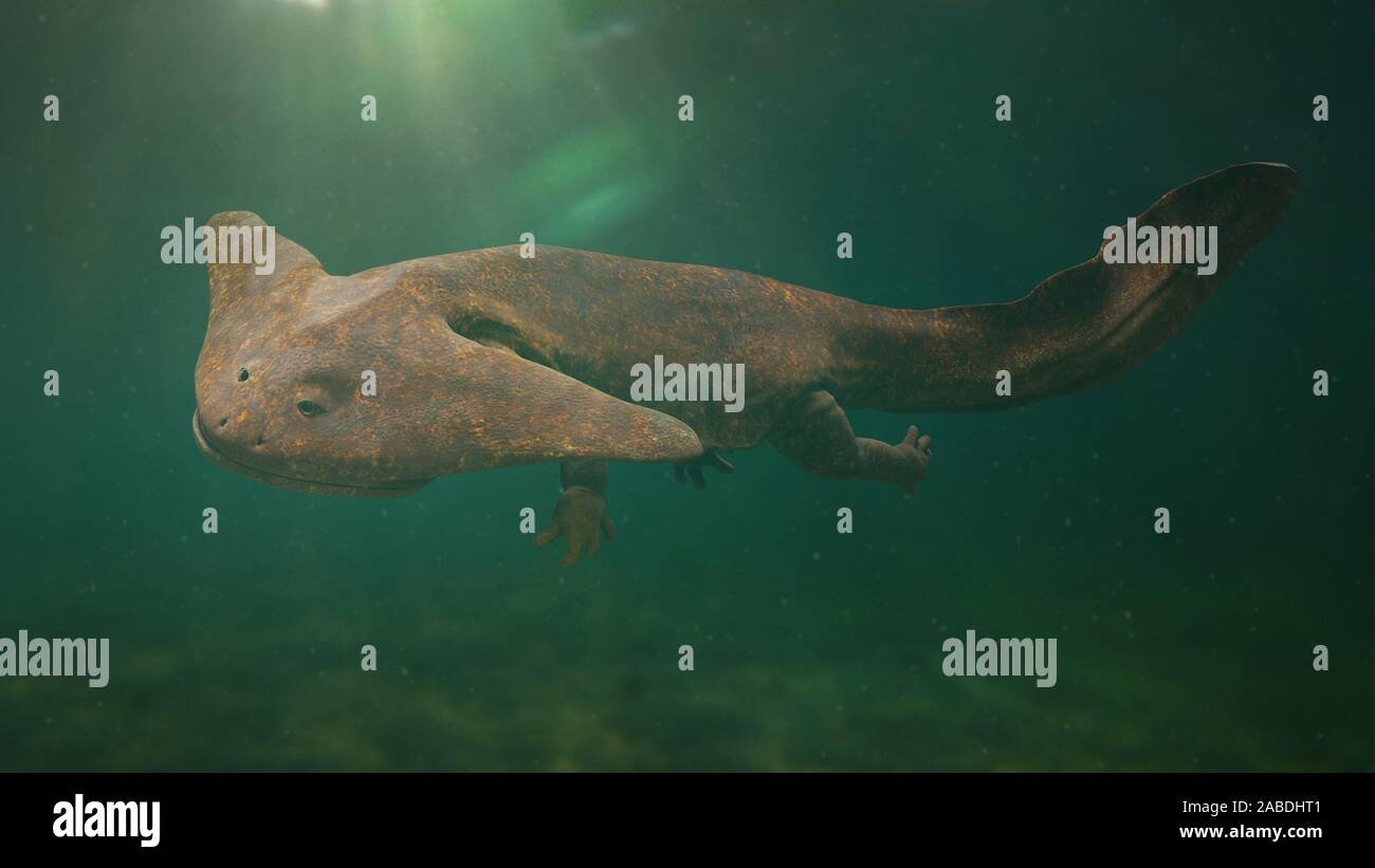 Carboniferous fauna hi-res stock photography and images - Alamy