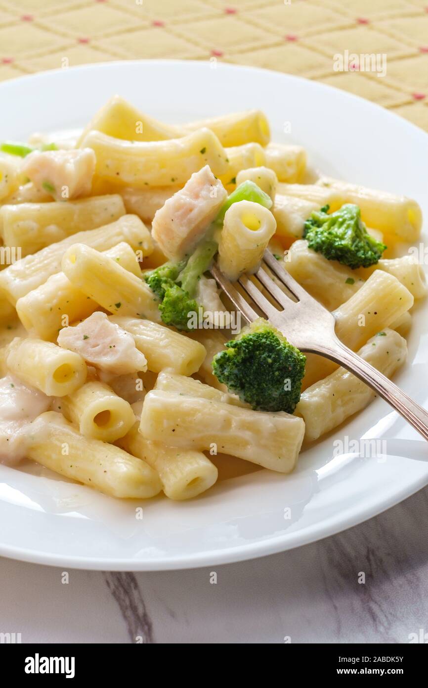 Italian rigatoni chicken alfredo pasta dish with broccoli Stock Photo ...