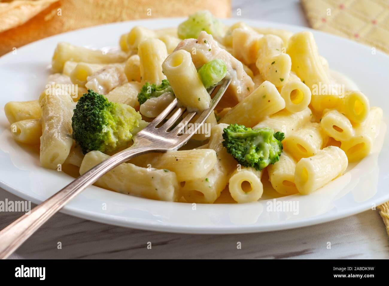 Italian rigatoni chicken alfredo pasta dish with broccoli Stock Photo ...