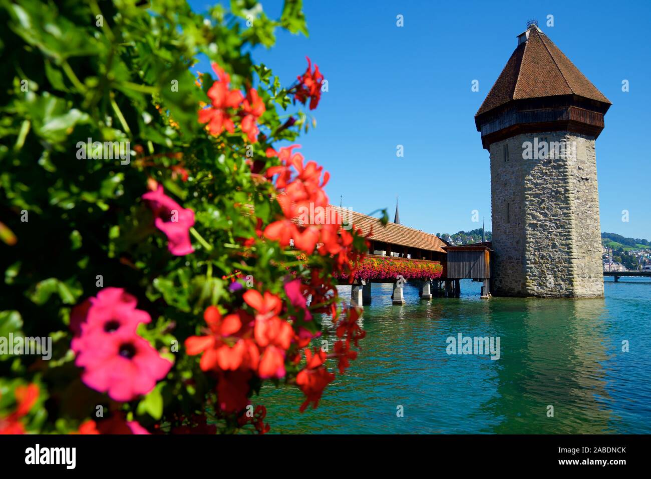 Famous Chapel Bridge view in old town of Lucerne in Switzerland Stock ...