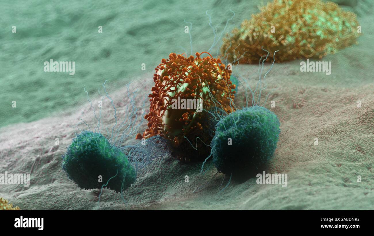 3d rendered medically accurate illustration of a cancer cell being ...