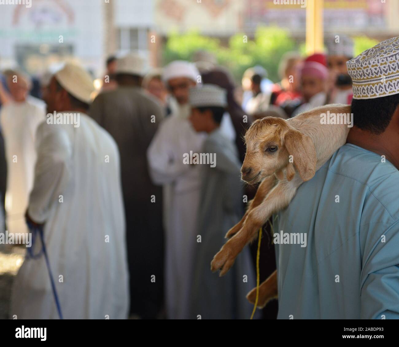 Crowded market day on the bazaar of animals, goat auction in the Nizwa ...