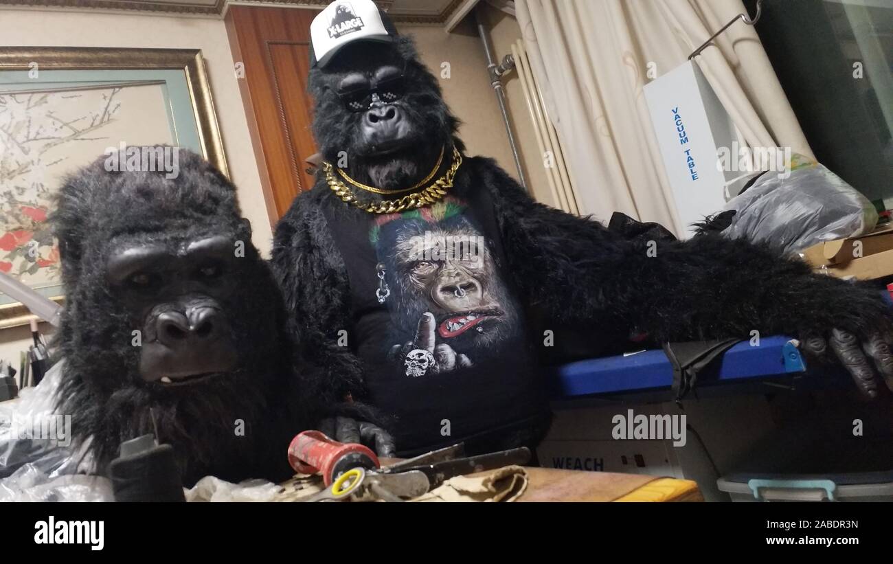 In this unlocated photo, Ma Mingxuan shows his chimpanzee armour in ...