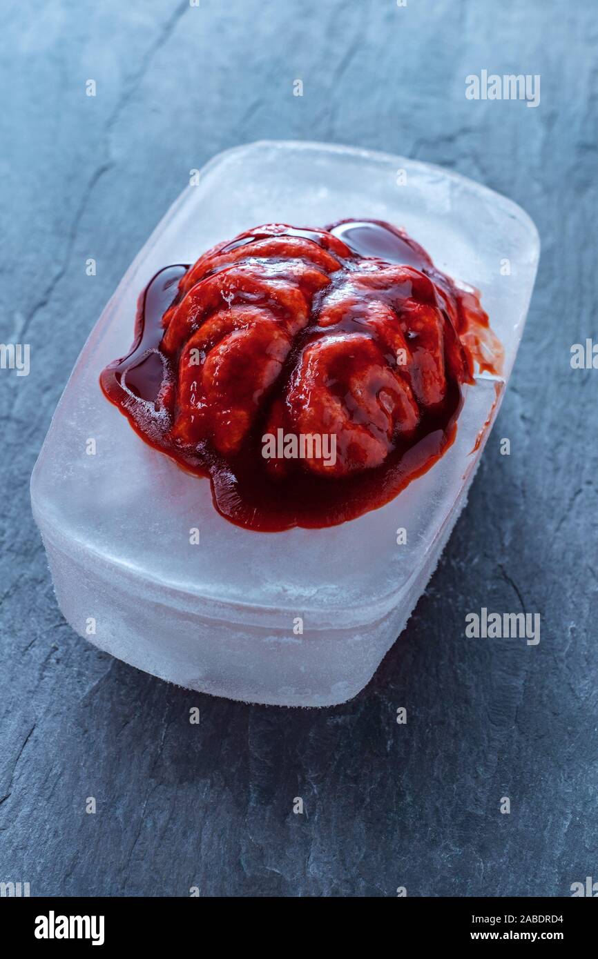 Brain freeze ice cube on cold slate slab metaphor concept Stock Photo ...