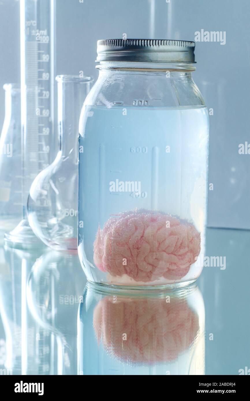 Human brain preserved in formaldehyde for science experiments and ...