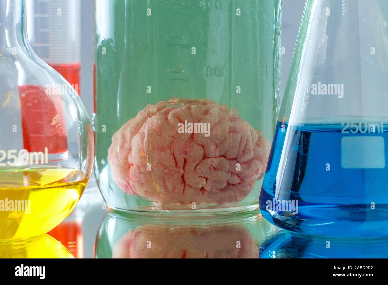 Human brain preserved in formaldehyde for science experiments and ...