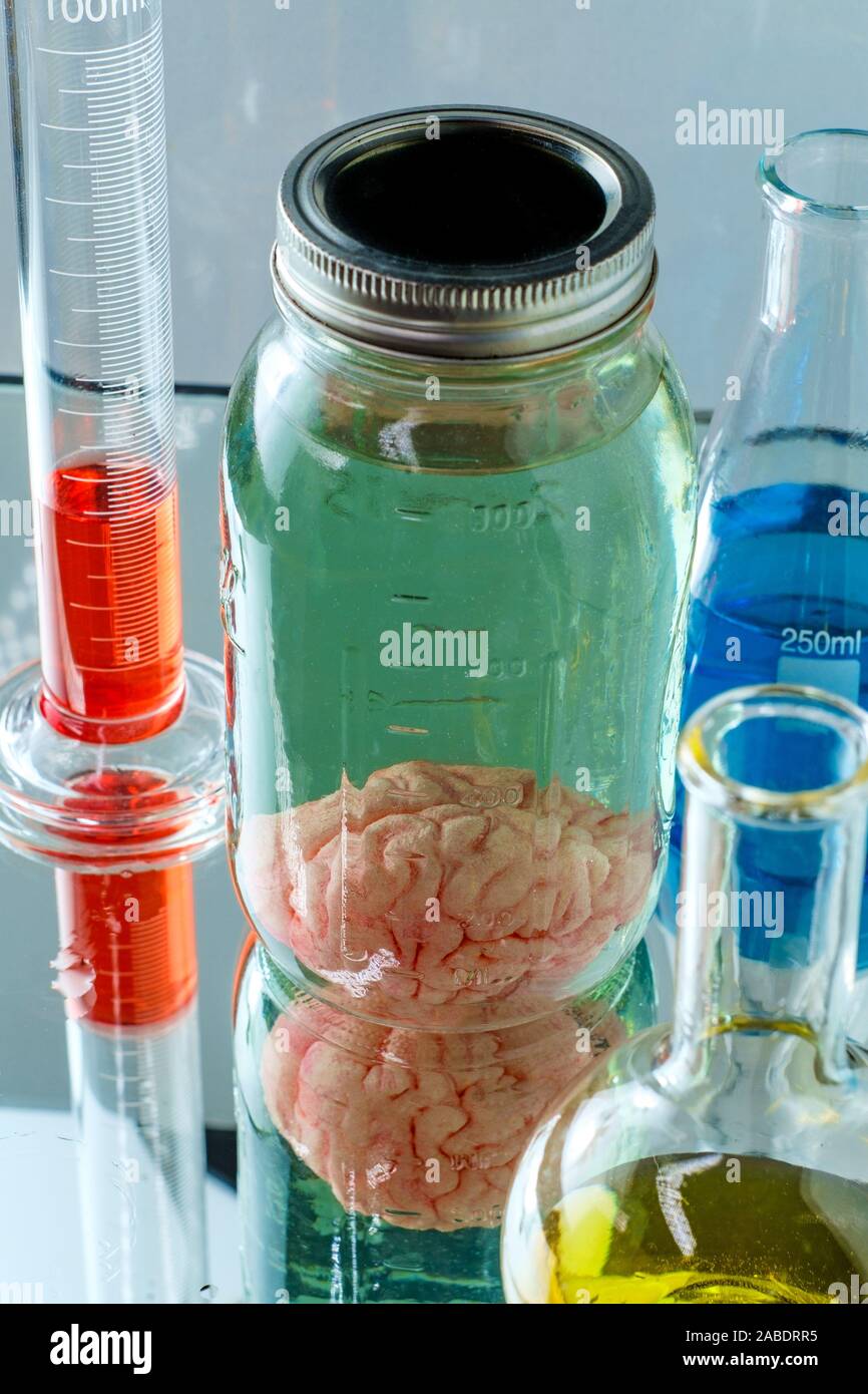 Human brain preserved in formaldehyde for science experiments and ...