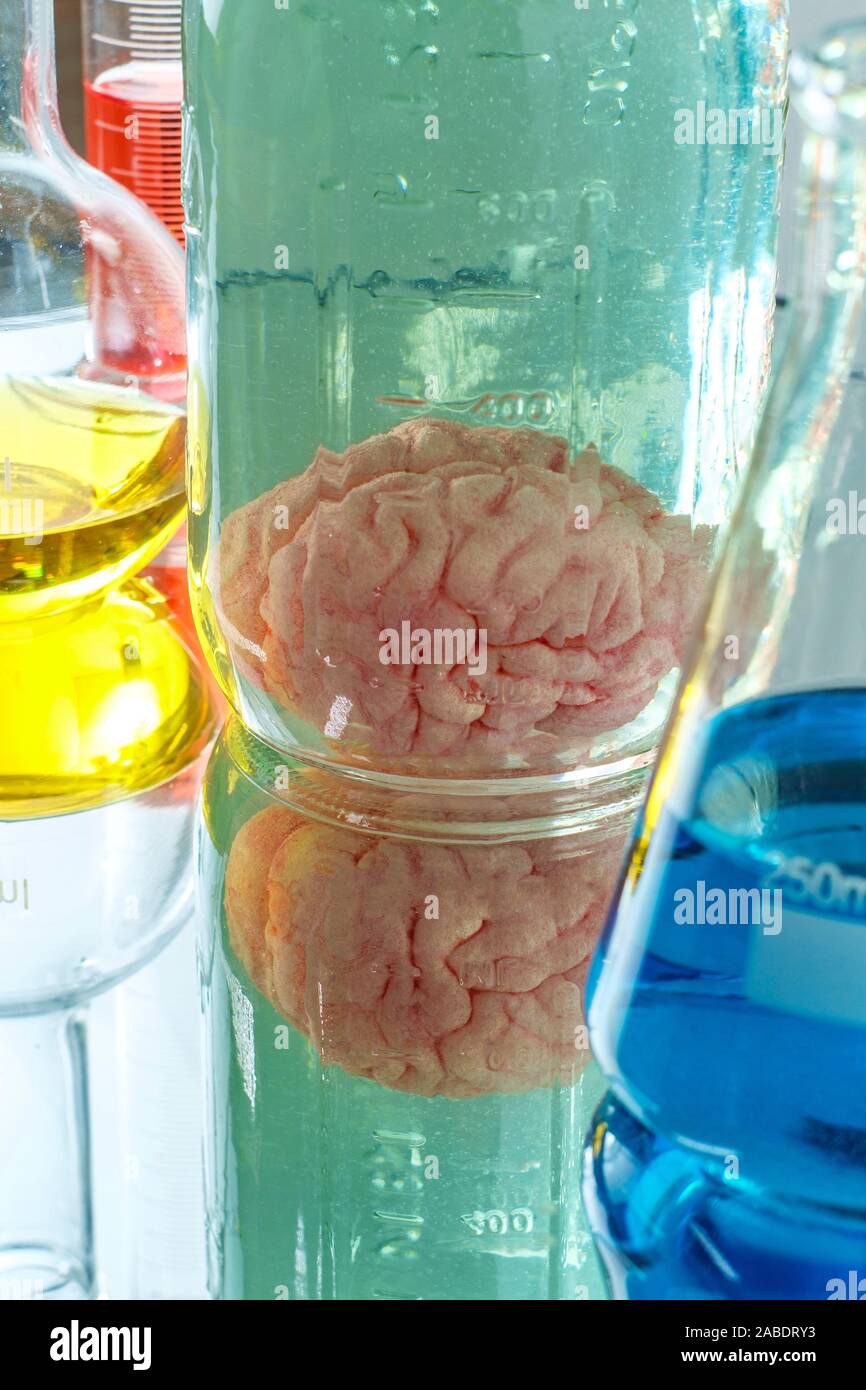 Formalin test tube hi-res stock photography and images - Alamy