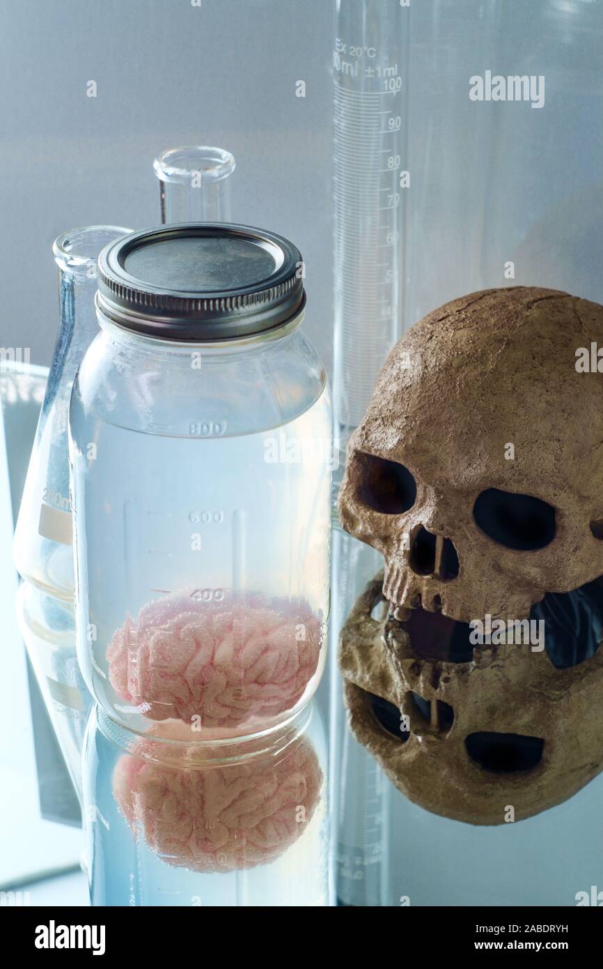 Human brain preserved in formaldehyde for science experiments and ...