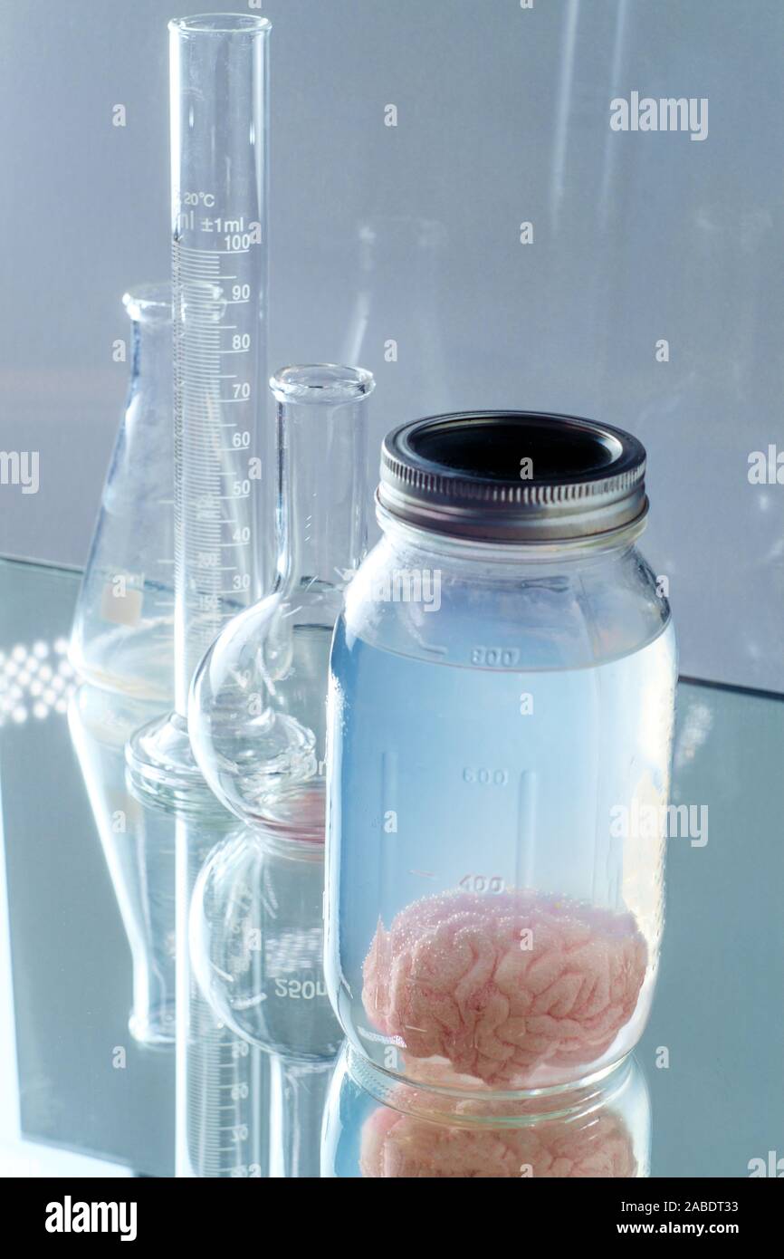 Human brain preserved in formaldehyde for science experiments and ...