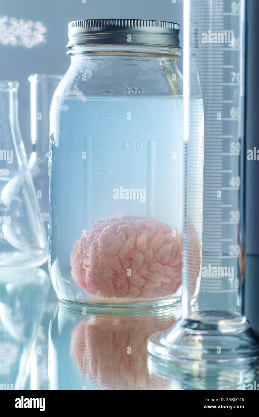 Human brain preserved in formaldehyde for science experiments and ...