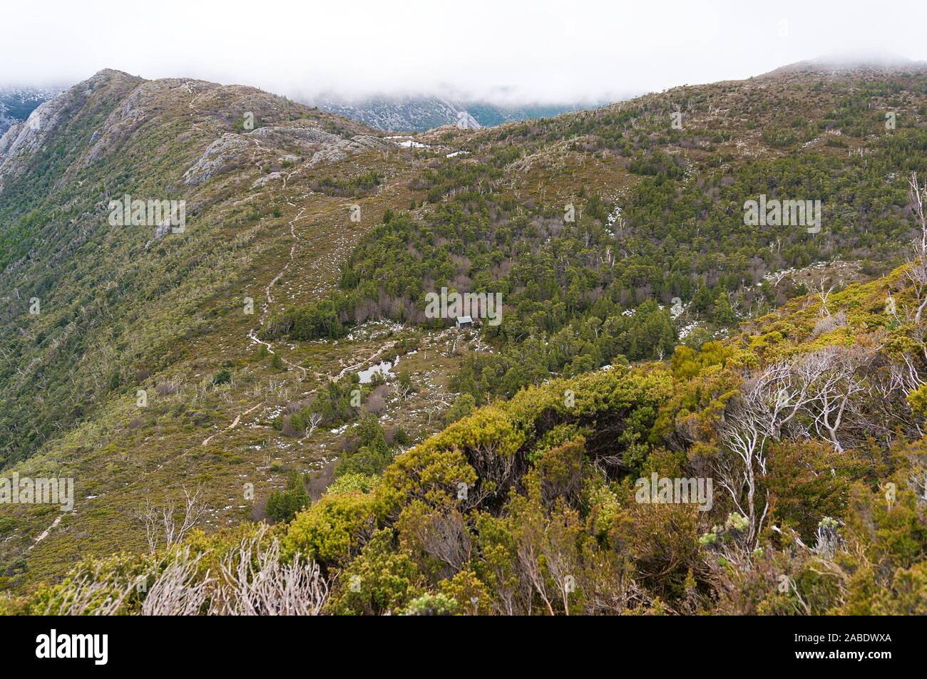 Highland landscape with green forest and trekking path with Rangers hut ...