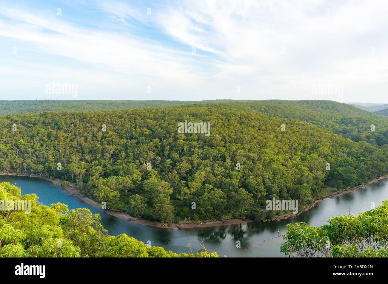 Aerial landscape of beautiful eucalyptus forest and river bend of ...