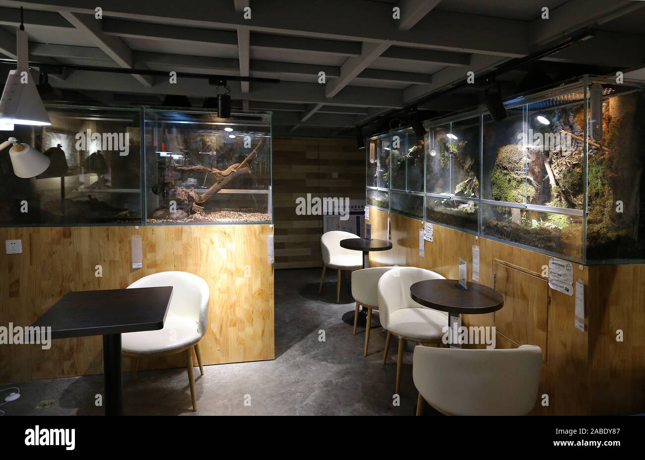 Reptile themed pet cafe in chengdu hi-res stock photography and images ...