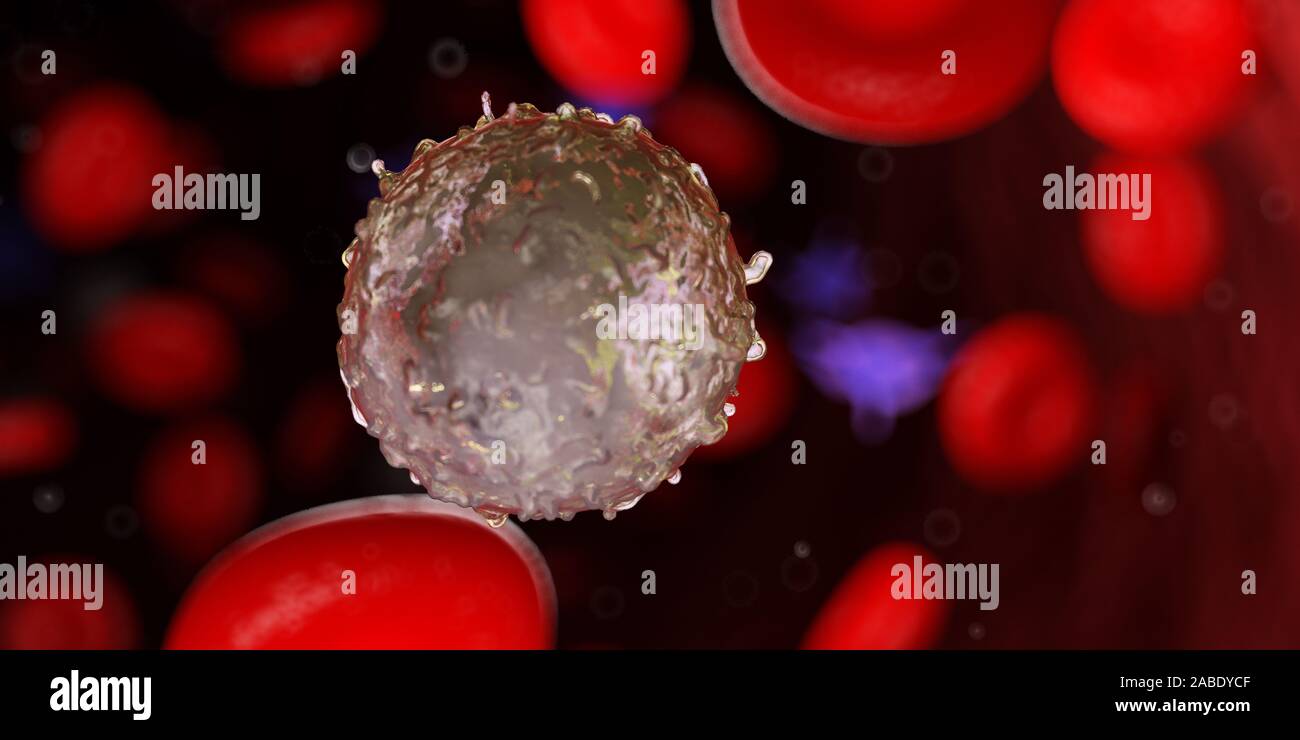 White blood cell microscope hi-res stock photography and images - Alamy
