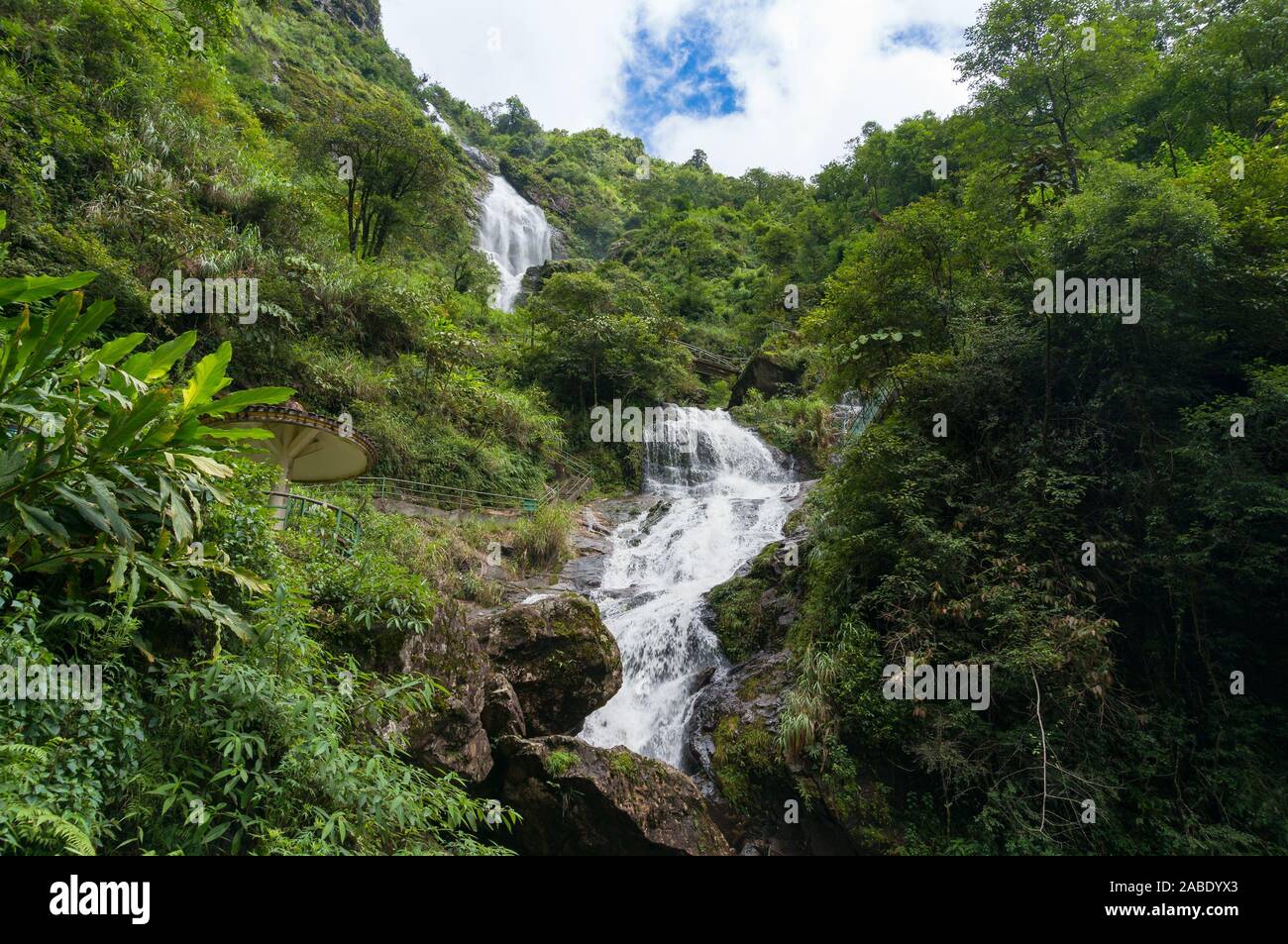 Waterfall in forest nature hi-res stock photography and images - Alamy