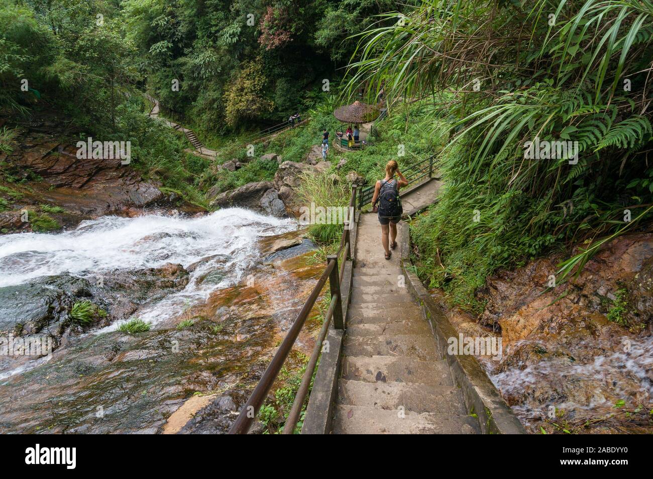 Backpacker tourist exploring national park in Vietnam Stock Photo - Alamy