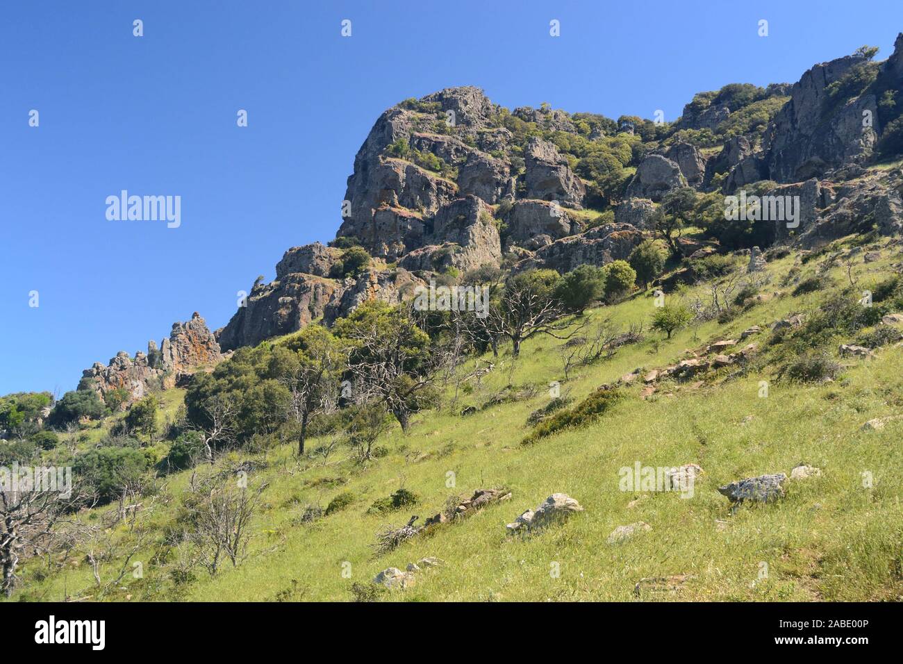 Monte arbus hi-res stock photography and images - Alamy