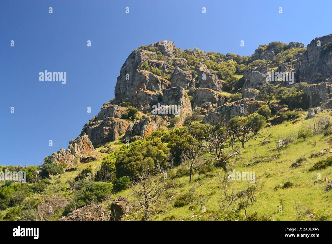 Monte arbus hi-res stock photography and images - Alamy