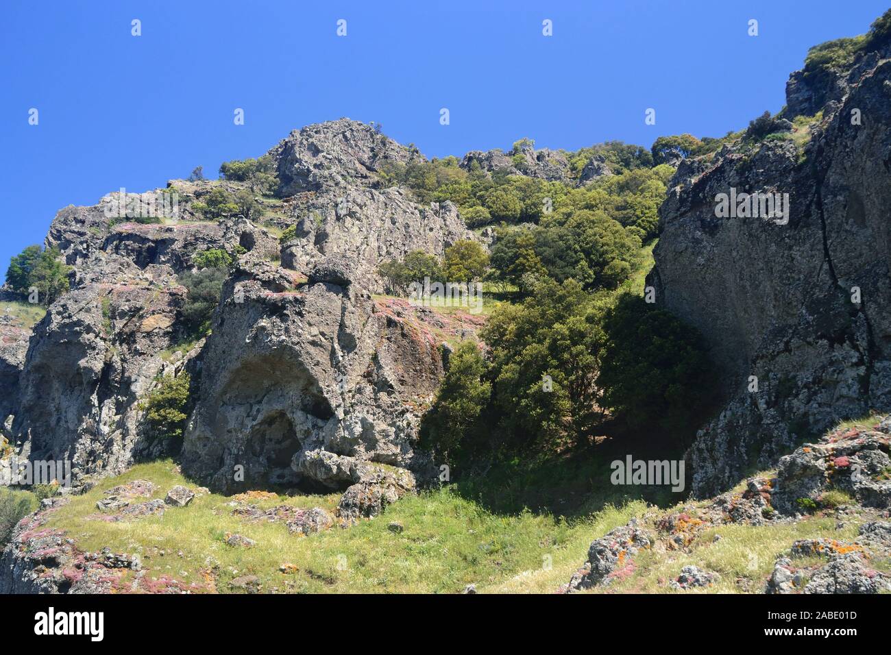 Monte arbus hi-res stock photography and images - Alamy