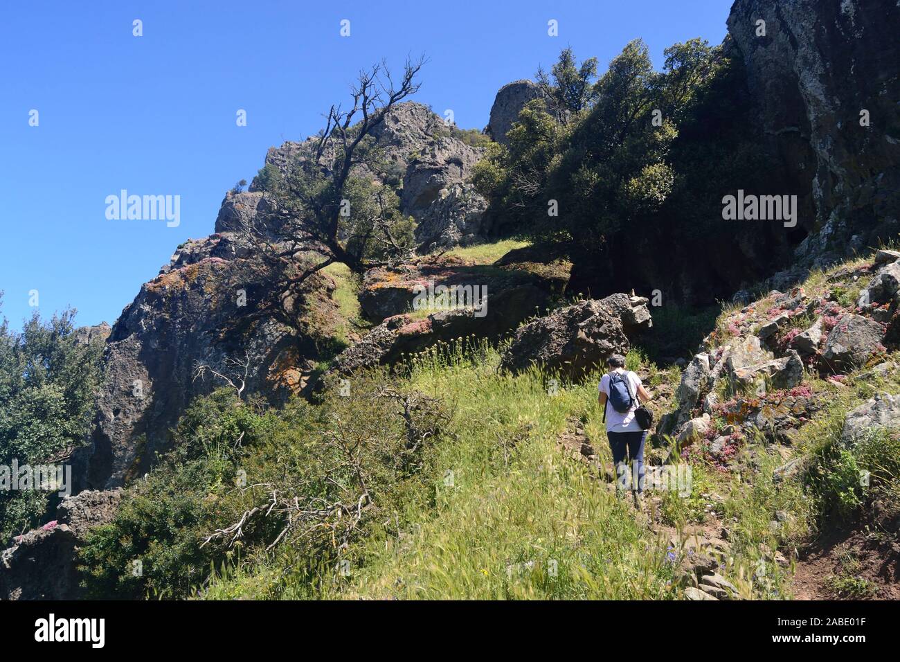 Monte arbus hi-res stock photography and images - Alamy