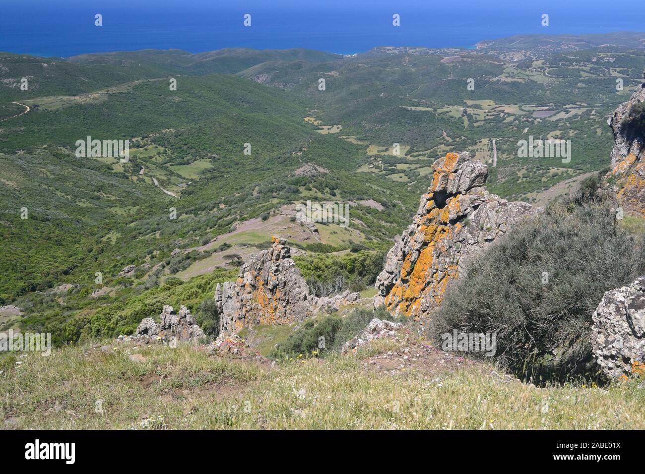 Monte arbus hi-res stock photography and images - Alamy