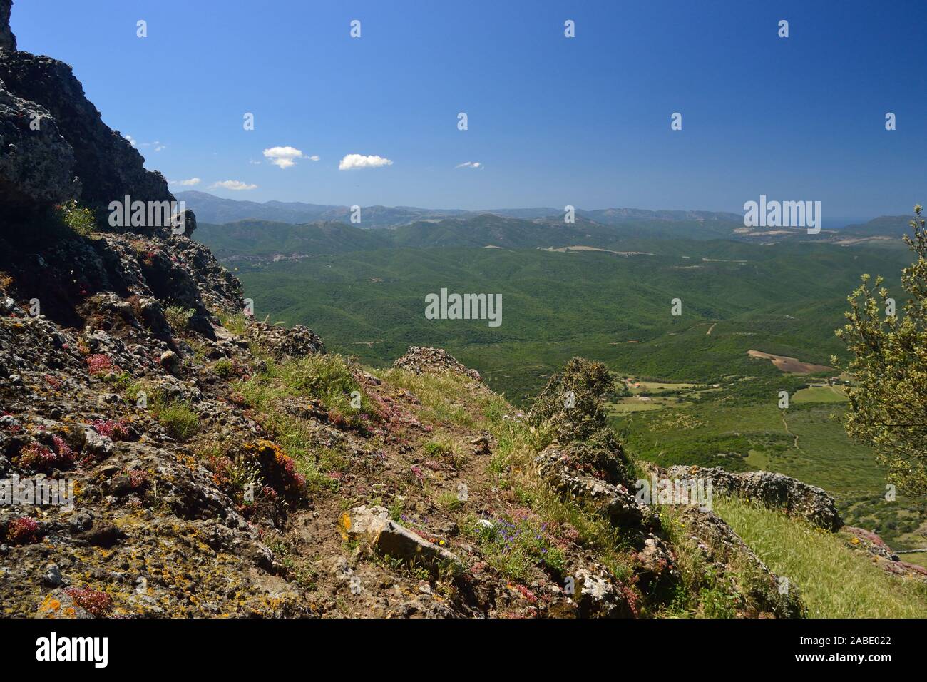 Monte arbus hi-res stock photography and images - Alamy