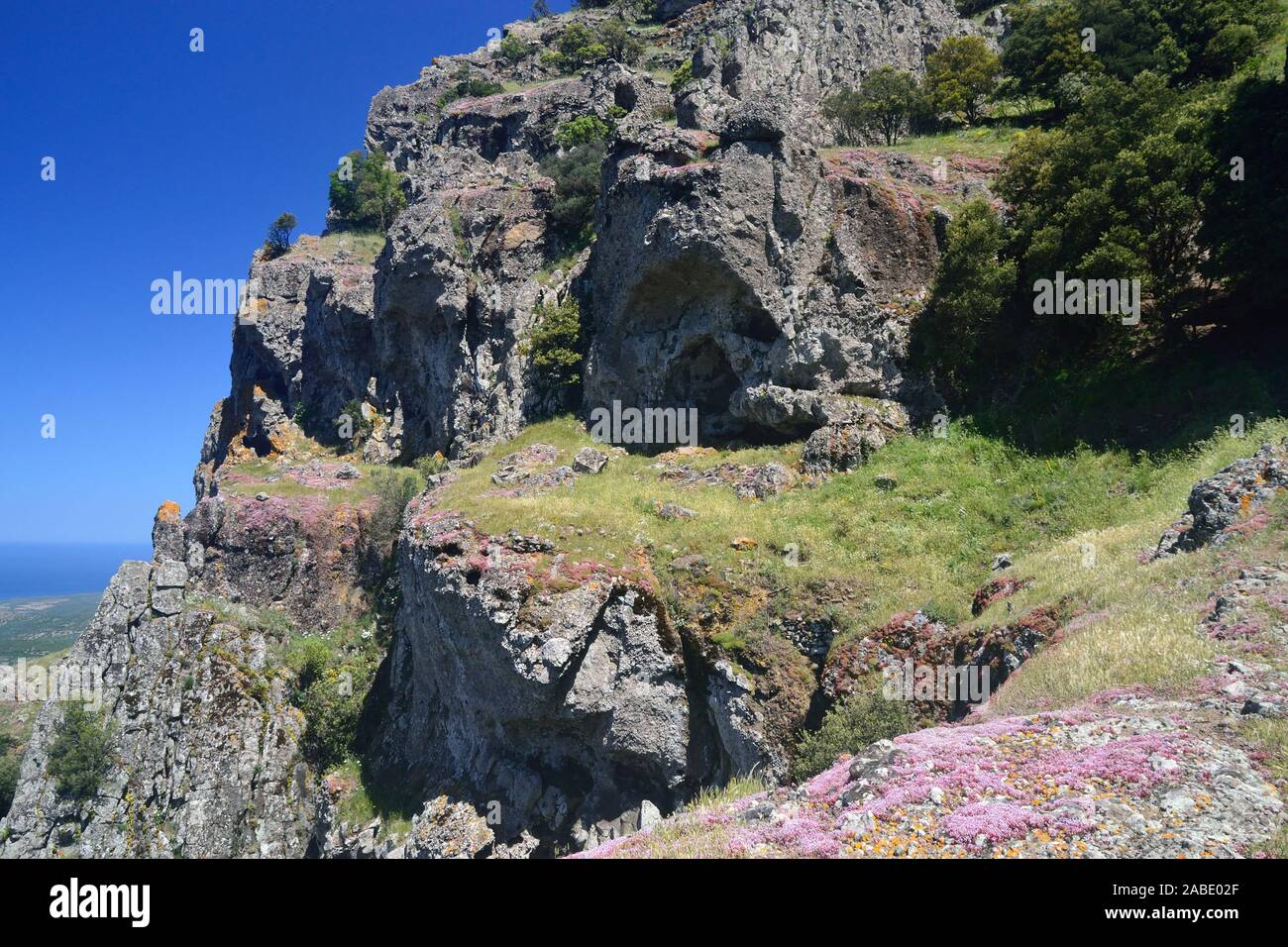 Monte arbus hi-res stock photography and images - Alamy