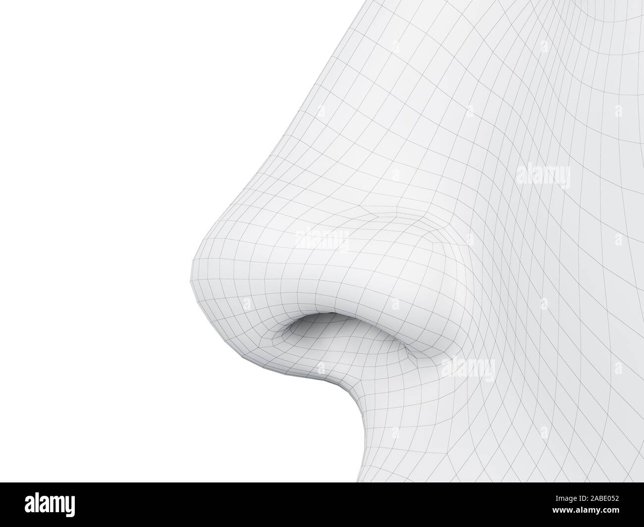 3d rendered medically accurate illustration of a wireframe nose Stock ...