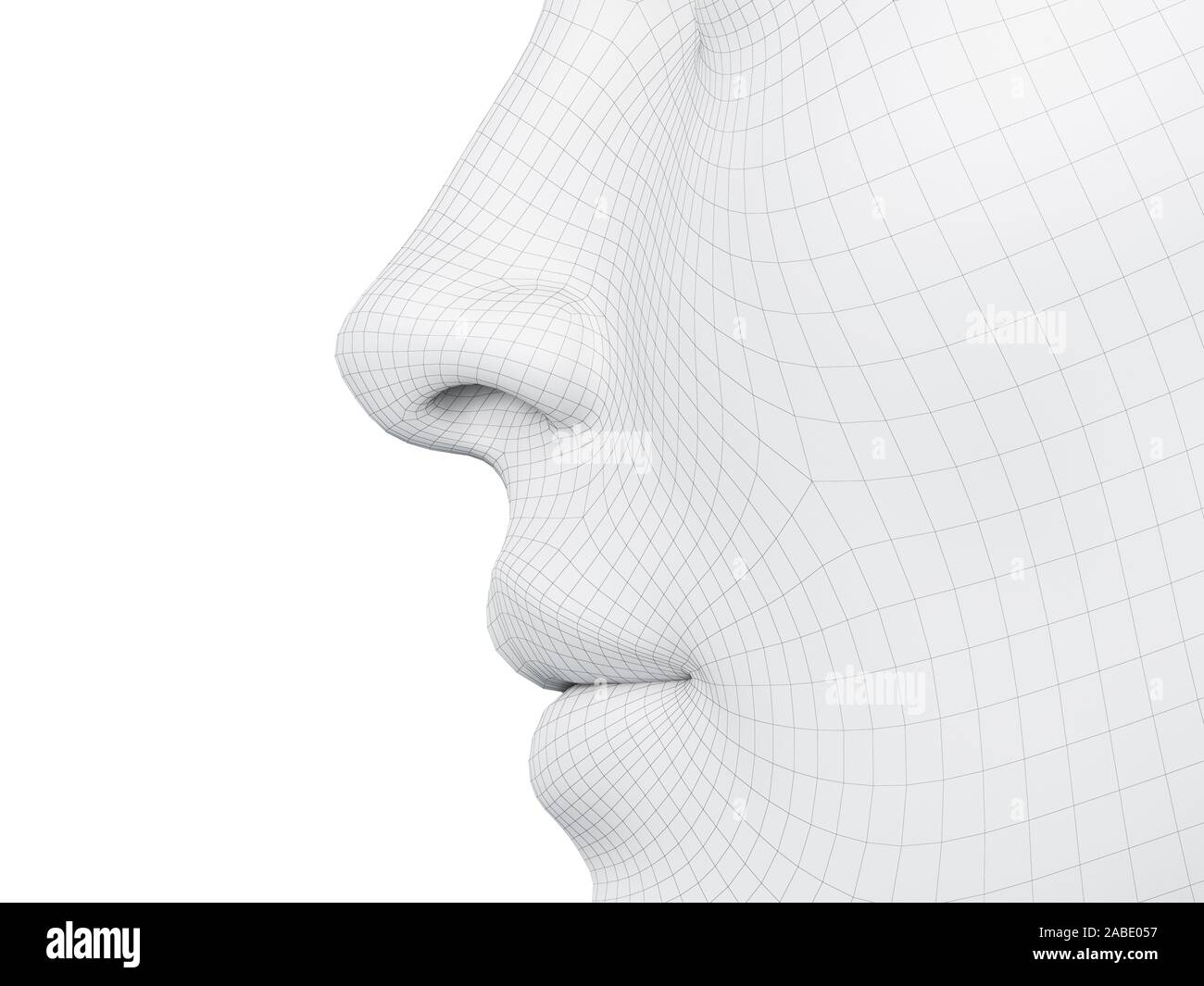 3d rendered medically accurate illustration of a wireframe nose Stock ...