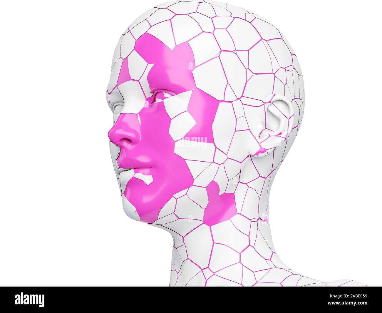 3d rendered medically accurate illustration of a cracked female face ...