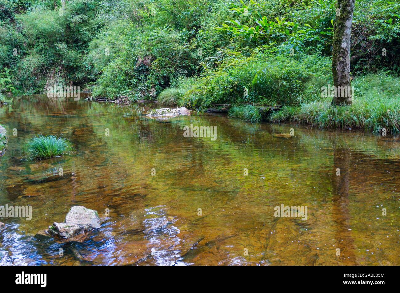 Relaxing nature landscape with river forest background Stock Photo - Alamy