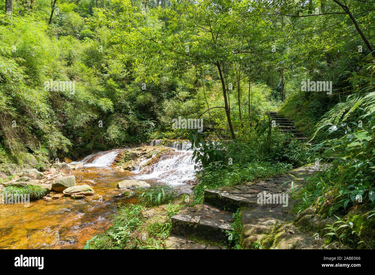 Hiking path along the river in the forest. Eco tourism nature ...