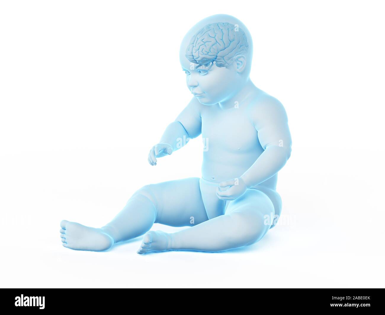 3d rendered medically accurate illustration of the brain of a baby ...