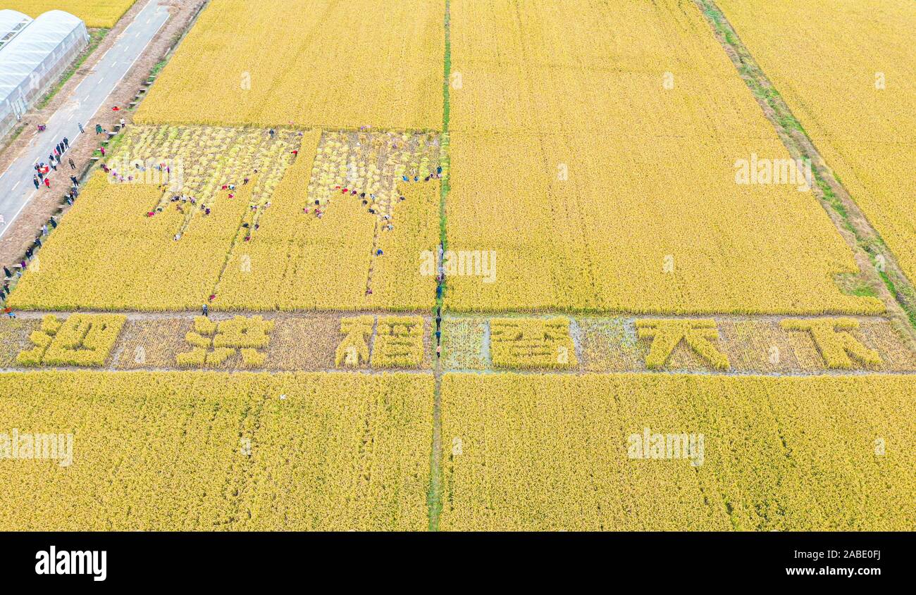 Reaping in the fields hi-res stock photography and images - Alamy