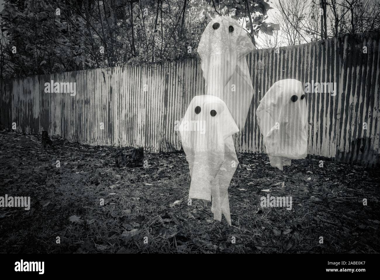 Spooky Halloween ghost spirits floating in the air Stock Photo - Alamy
