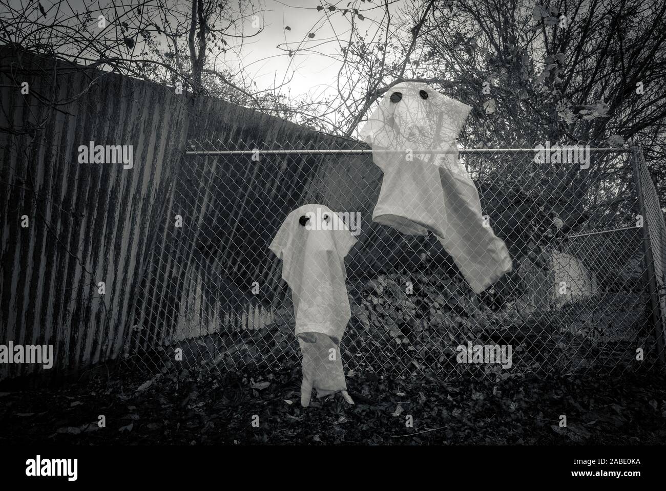 Spooky Halloween ghost spirits floating in the air Stock Photo - Alamy