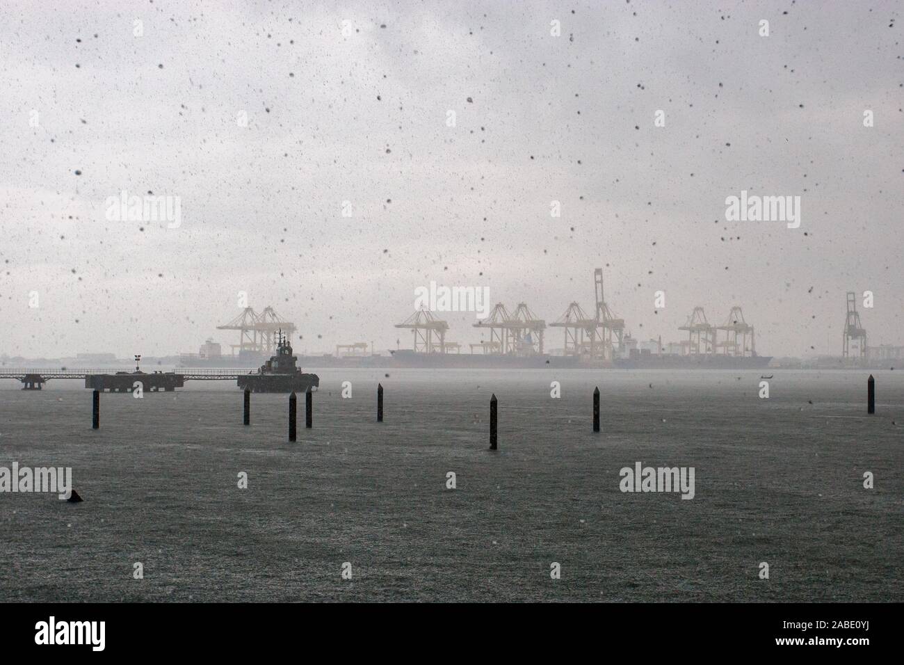 Cargo ships and port cranes on a gray day during heavy rain. A lot of ...