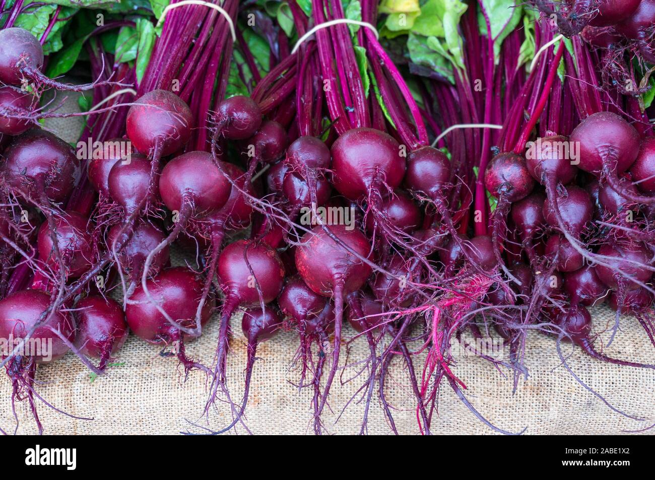 Bundles of fresh ripe beetroot on display at farmers market, Food ...