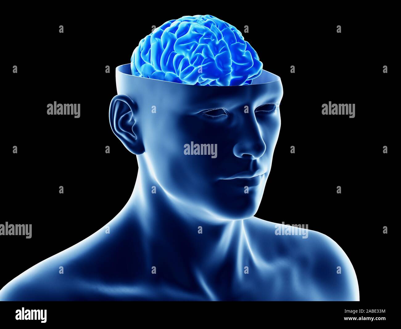 3d rendered medically accurate illustration of a brain in an open head ...