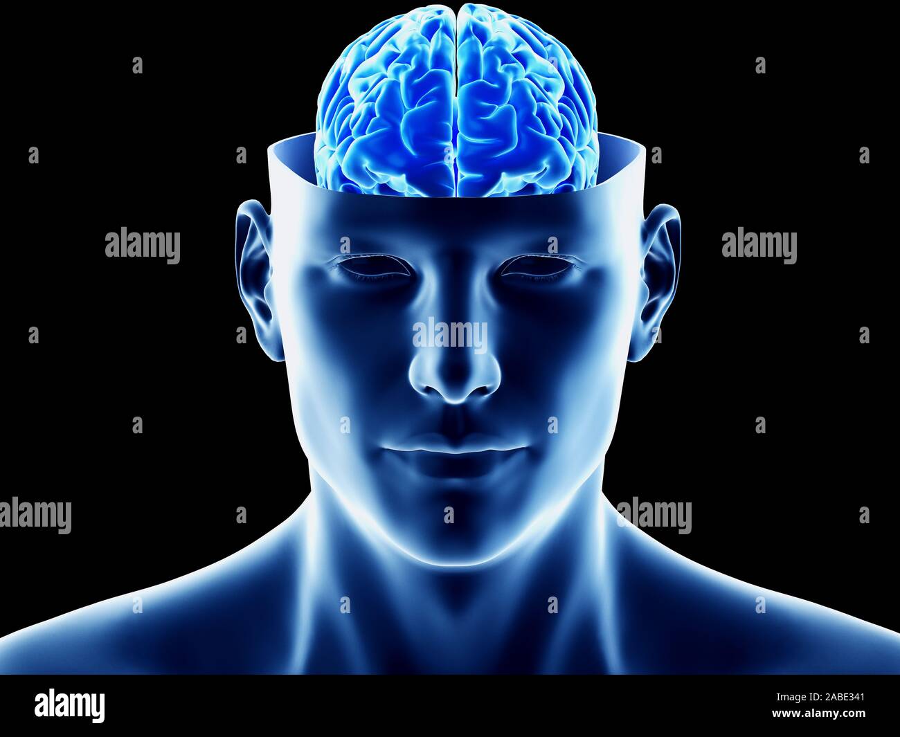 3d rendered medically accurate illustration of a brain in an open head ...