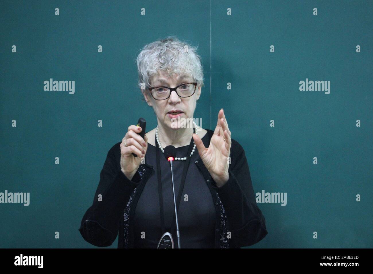 Susan fiske hi-res stock photography and images - Alamy