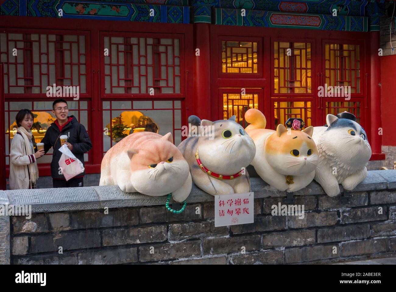People look at the giant cats put at the Shenwu Gate of the Forbidden ...