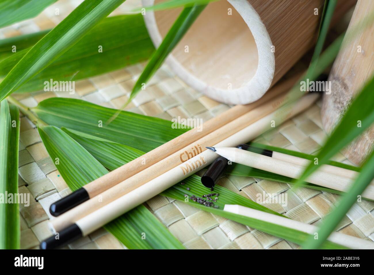 Biodegradable pencils hi-res stock photography and images - Alamy